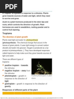 Asterias rubens: Anatomy and Habitat | PDF | Senses | Digestion