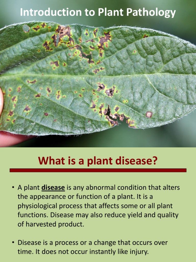 Introduction To Plant Pathology Plant Pathology Pathogen