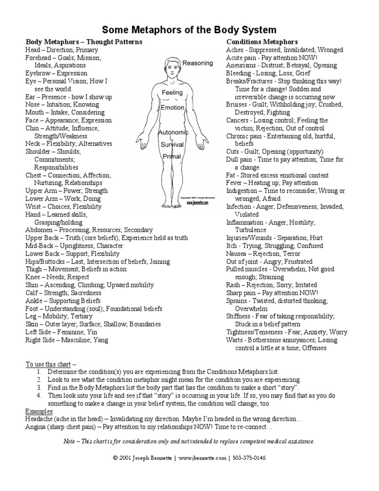 Metaphors of The Body System | Download Free PDF | Pain | Anger