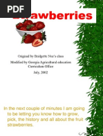 Strawberry Plant Anatomy for Kids | PDF | Fruit | Strawberry