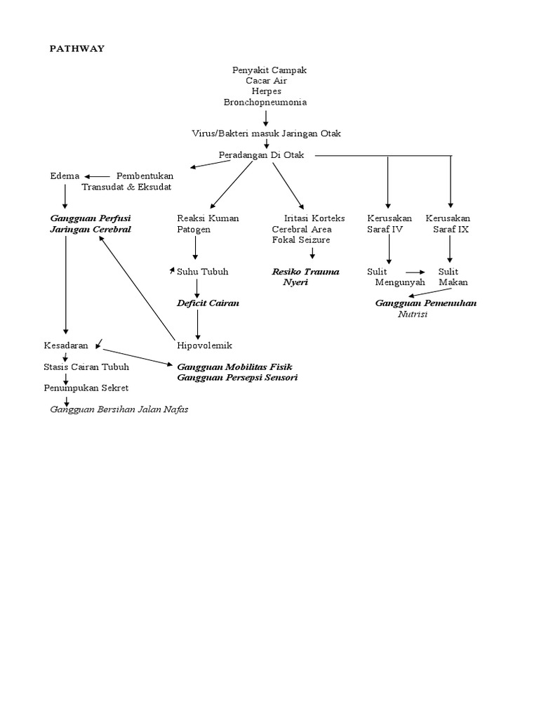 Pathway Ensefalitis | PDF