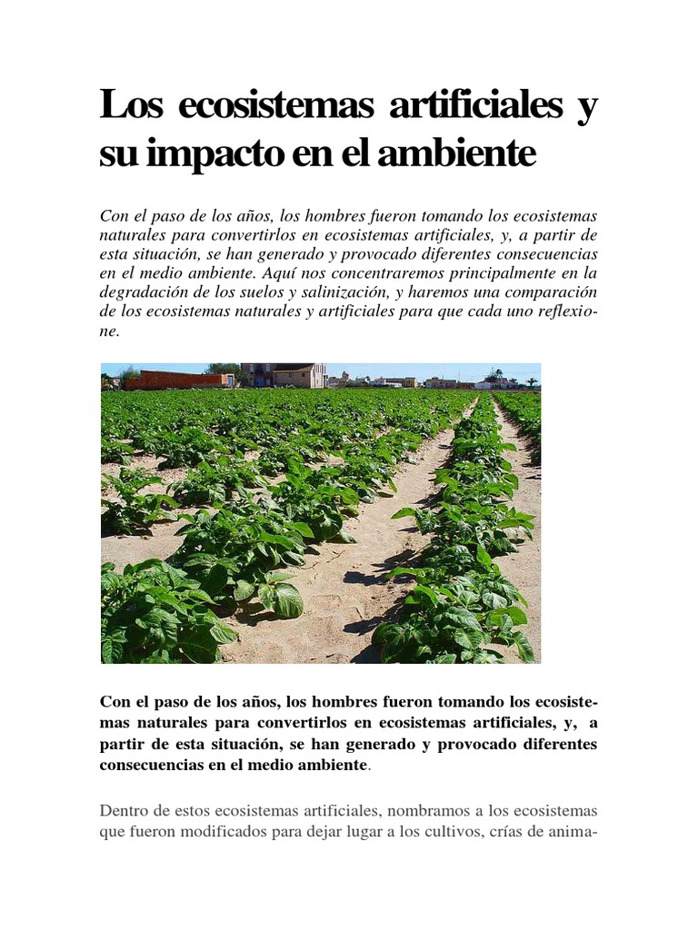 Los Ecosistemas Artificiales y Su Impacto en El Ambiente | Ecosistema ...
