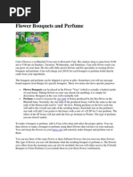 List of All Gifts - Stardew Valley Wiki | PDF | Fruit | Cuisine