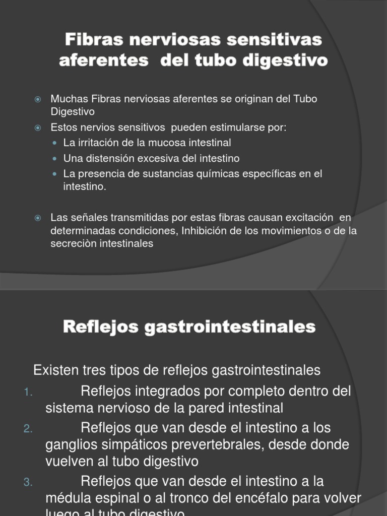 Fibras Nerviosas Sensitivas Aferentes Del Tubo Digestivo