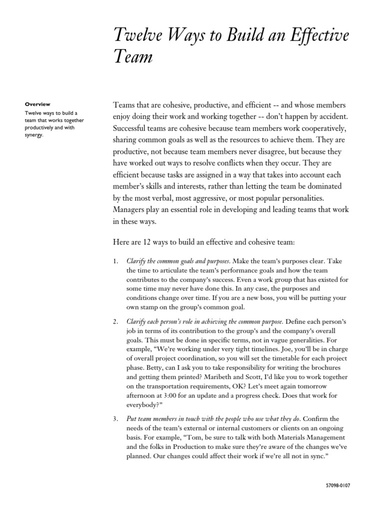 Twelve Ways To Build An Effective Team PDF | PDF | Employment | Human ...