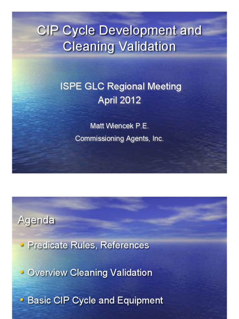 ISPE Cleaningvalidation PDF | PDF | Verification And Validation | Valve