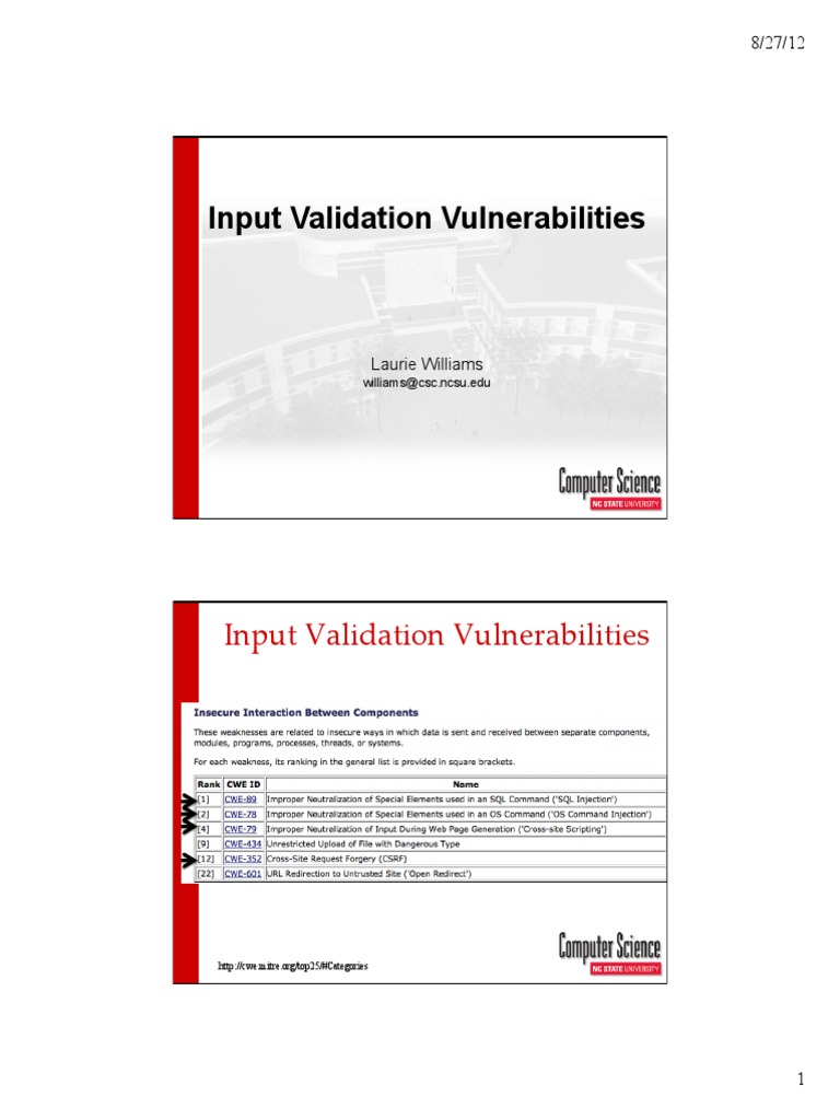 Input Validation Vulnerabilities | PDF | Hypertext | World Wide Web