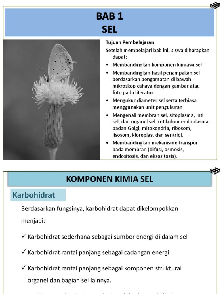 Bab 1 Sel | PDF