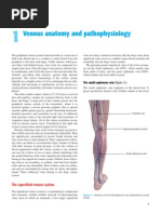 Lower Extremity Venous Protocol 14 | PDF | Medical Ultrasound | Vein