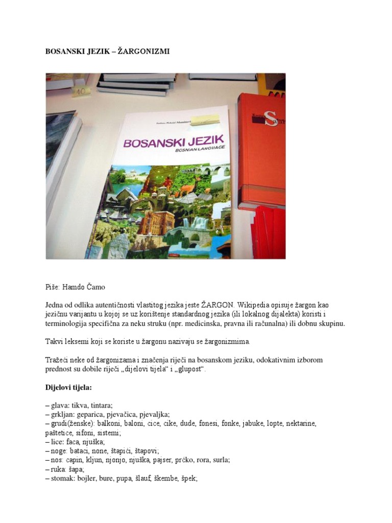 Bosanski Jezik - Žargonizmi | PDF