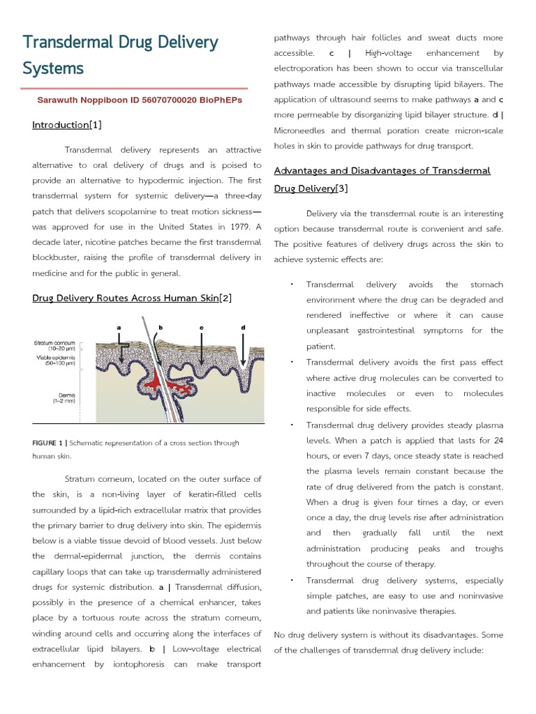 Transdermal Drug Delivery | PDF | Skin | Ultrasound