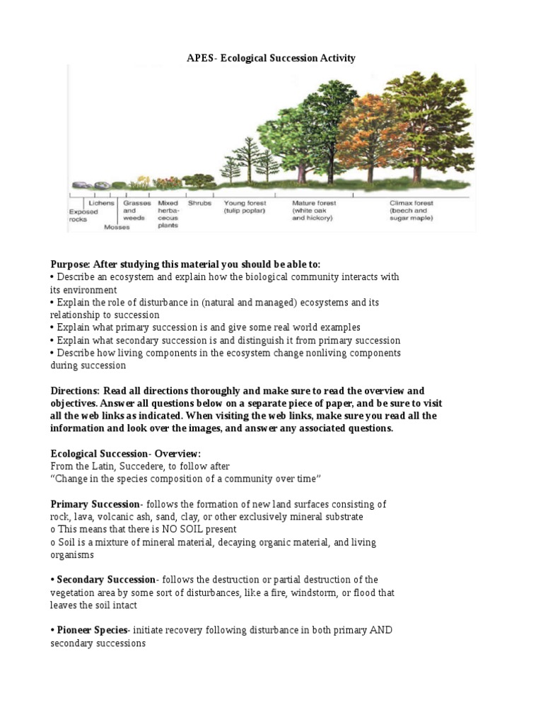 Ecological Succession Activity | PDF | Ecology | Disturbance (Ecology)