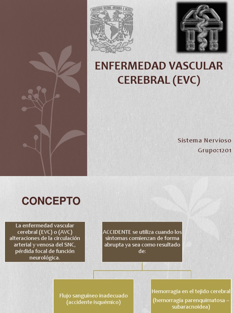 Enfermedad Vascular Cerebral (Evc) | PDF | Carrera | Isquemia