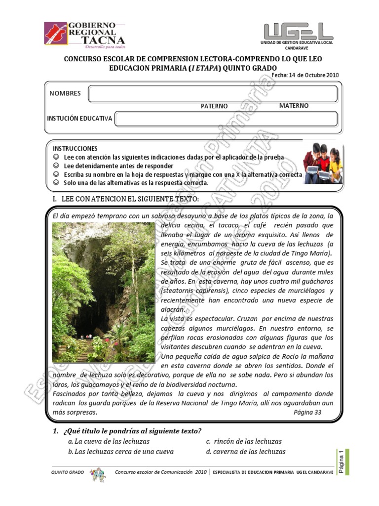 Comprension Lectora Quinto Grado | PDF | Cueva | Murciélago