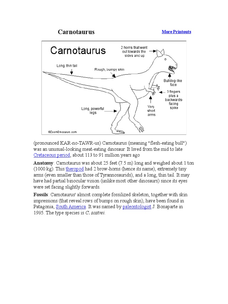 Carnotaurus: Cretaceous Period Theropod | PDF