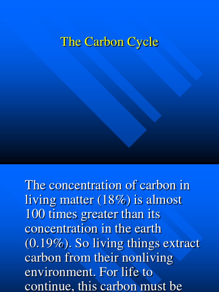 Carbon Cycle Presentation | PDF | Social Science | Science & Mathematics