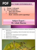 Tagmosis | PDF | Insects | Arthropodology