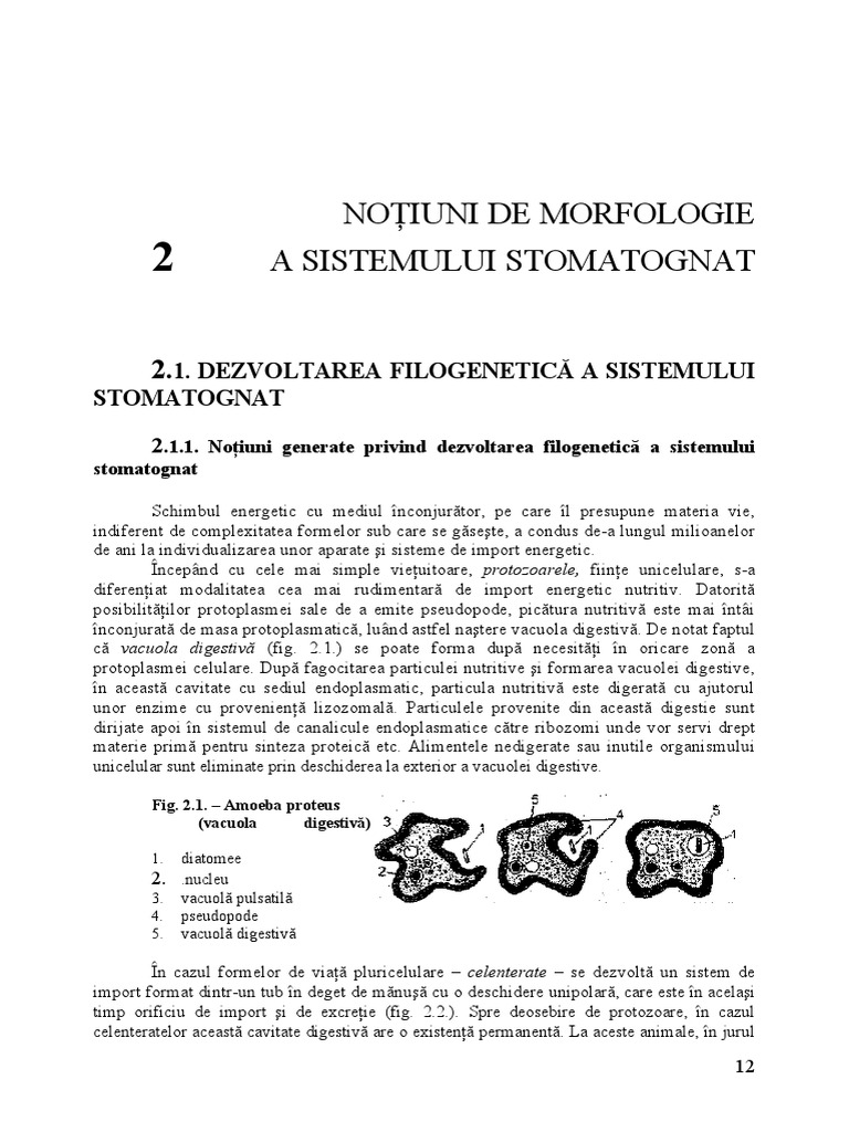 Capitolul 2 Gnatologie PDF | PDF