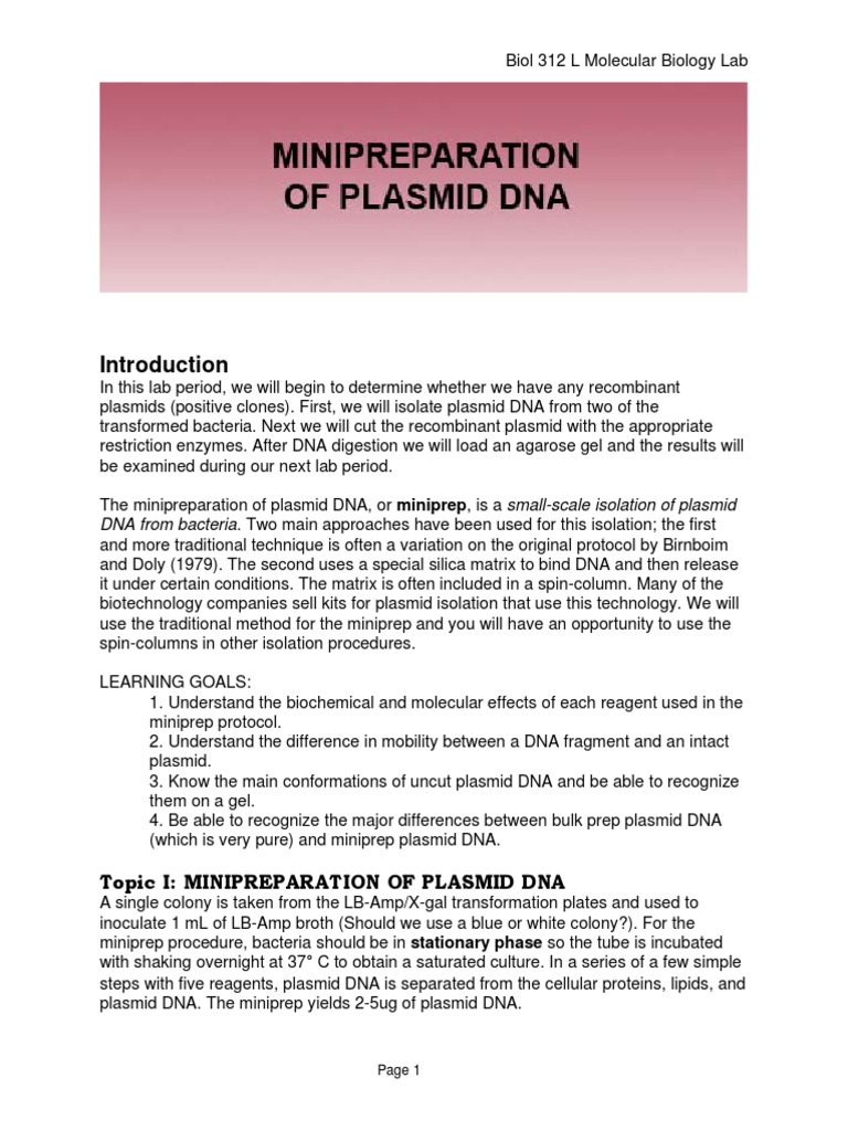 Mini Preparation | PDF | Gel Electrophoresis | Plasmid