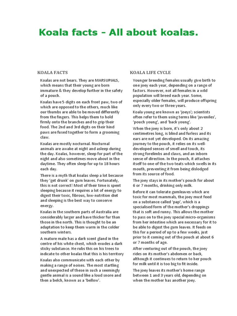 Koala Facts - All About Koalas | PDF | Koala | Marsupials
