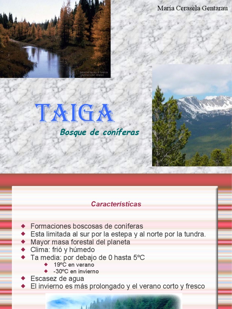 Características del bioma taiga | PDF