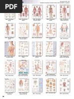 Body Pain Indicator Chart PDF | PDF | Self-Improvement | Wellness