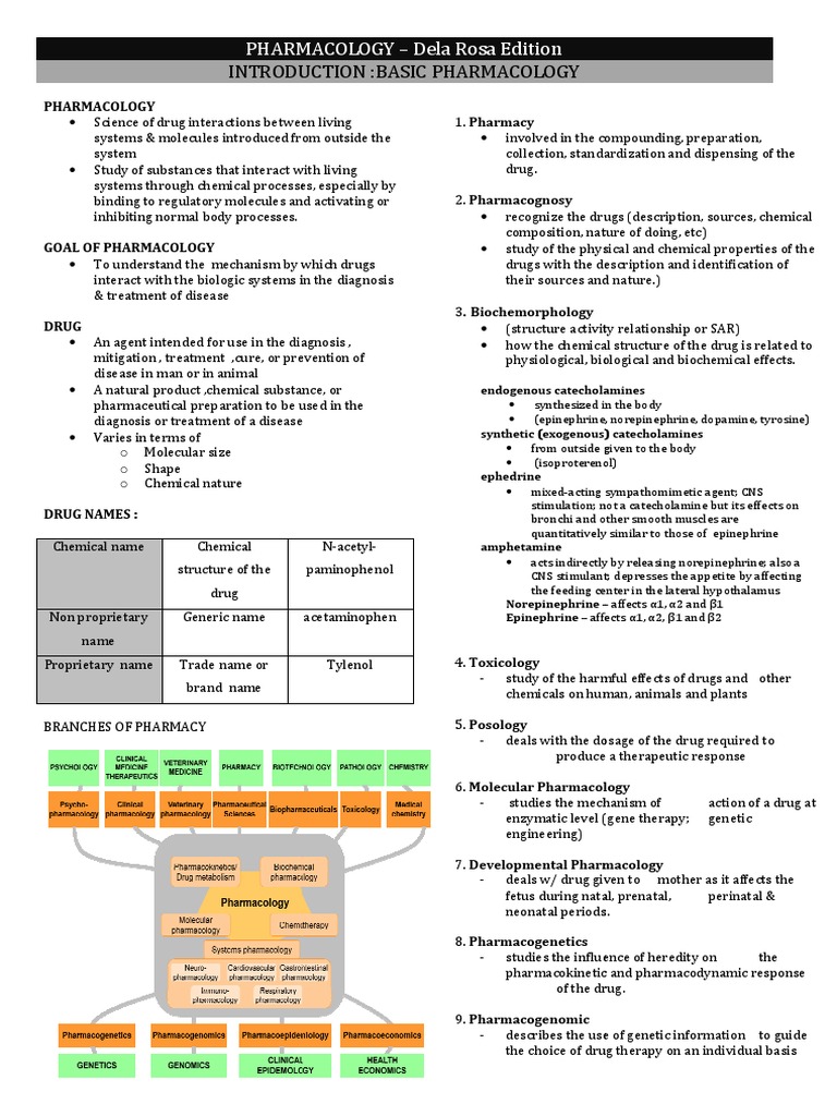 Basics of Pharmacology Overview | PDF | Pharmacology | Pharmacokinetics