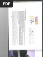 Richard Serra Verbs | PDF