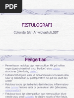 Thorax PA, AP Dan Lateral, RLD Dan LLD | PDF