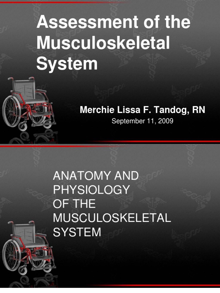 Musculoskeletal System Assessment Guide | PDF | Human Musculoskeletal ...
