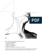 Vaskularisasi Regio Colli | PDF