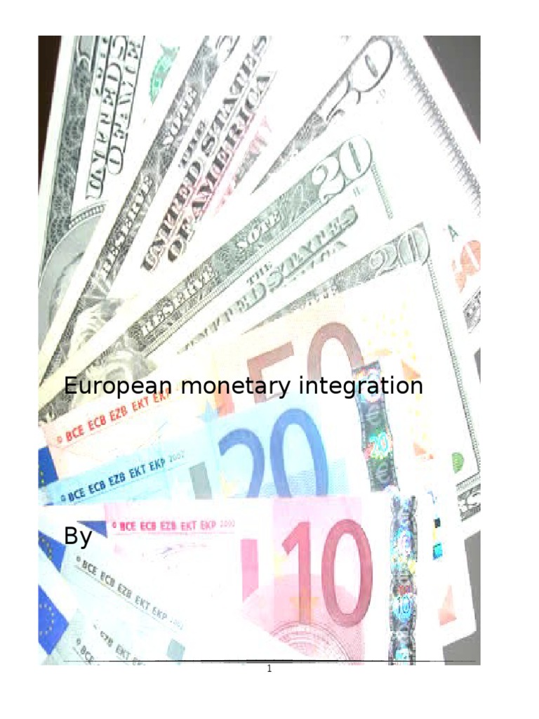 European Monetary Integration | PDF | Economic And Monetary Union Of ...