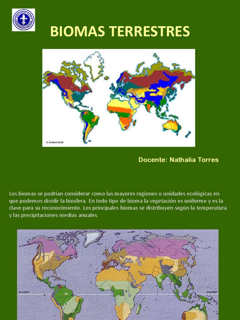 Biomas Terrestres | PDF | Geografía Física | Earth Sciences