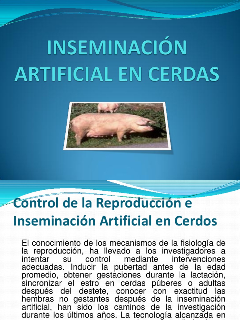 Inseminacion Artificial Cerdas 090728081030 Phpapp02 | PDF | Semen | Parto
