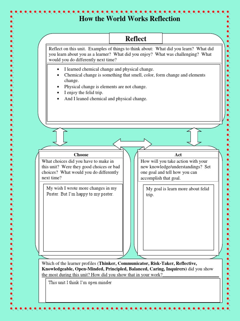 Reflection on Learning and Choices | PDF
