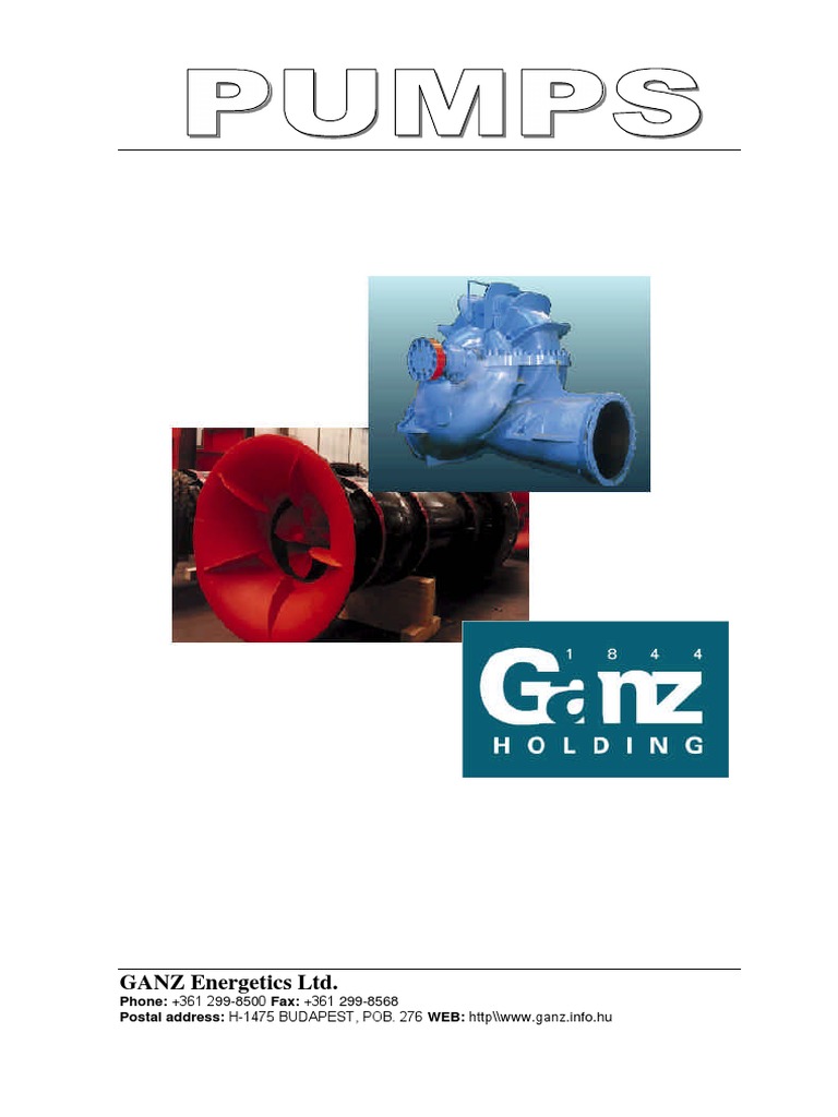 Ganz Pumps PDF | PDF