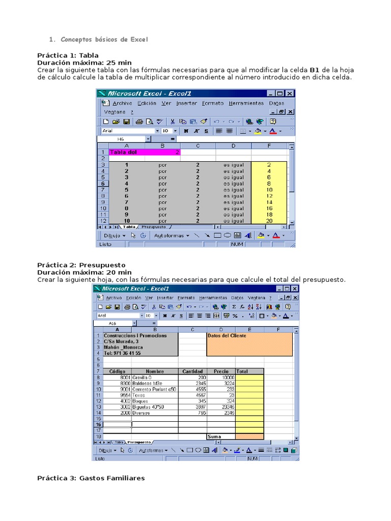 Practicas de Excel | PDF