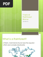 Layers of The Rainforest: Emergent | PDF