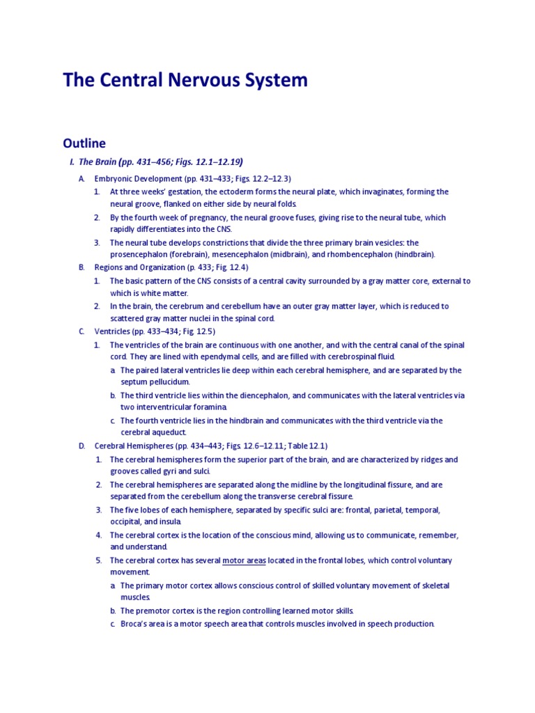 The Central Nervous System: Outline | PDF | Vertebral Column | Cerebrum