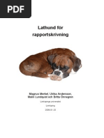 Lathund APA Referenssystem | PDF