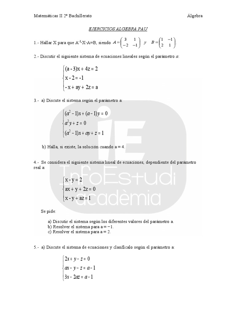 Ejercicios Matrices PAU | PDF | Matriz (Matemáticas) | Ecuaciones
