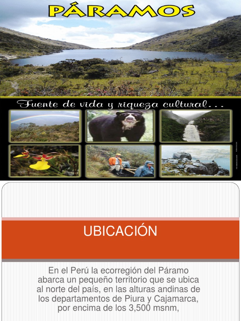 Ecorregión del Páramo en Perú: Características y Biodiversidad | PDF ...