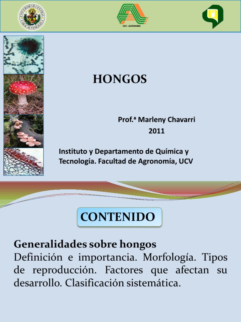 Generalidades de Hongos PDF | PDF | Hongo | Biología