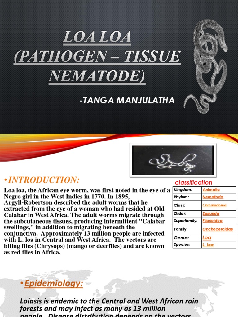 Loa loa.ppt | Public Health | Medical Specialties
