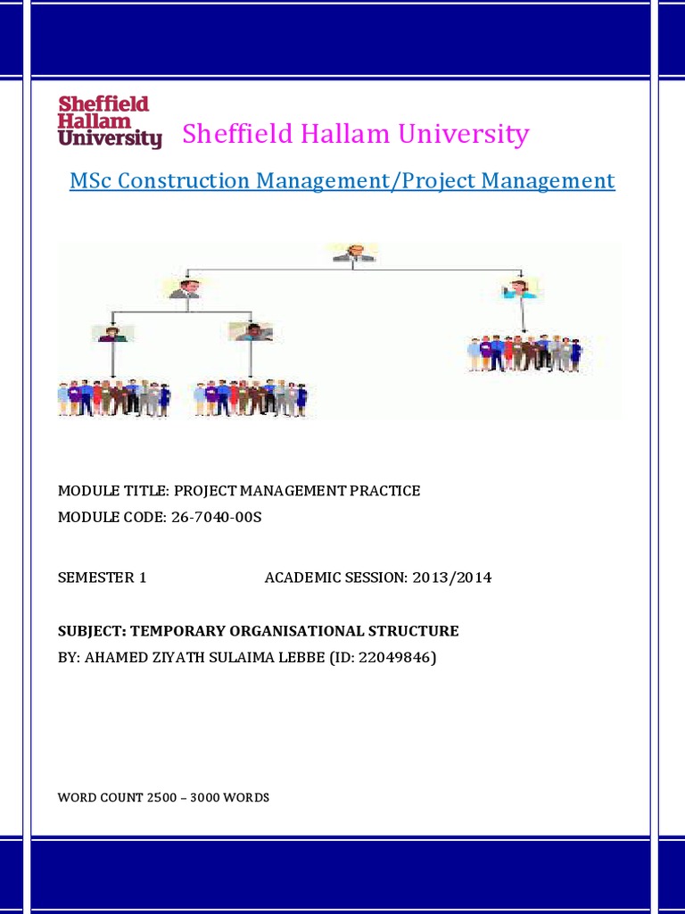 Temporary Organisational Structure | PDF | Organizational Structure ...