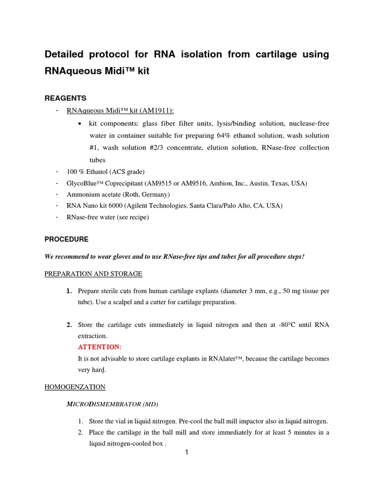 Detailed Protocol For RNA Isolation From Cartilage Using RNAqueous Midi ...