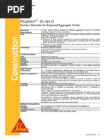 Renderoc TG | PDF | United Arab Emirates | Concrete