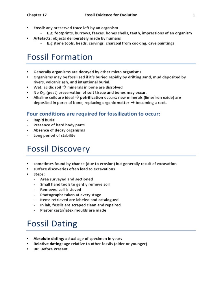 18 - Fossil Evidence For Evolution | PDF | Radiocarbon Dating ...