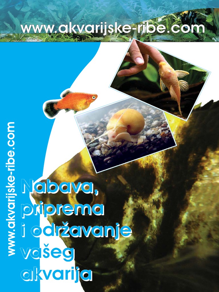 Akvarijske Ribice PDF | PDF