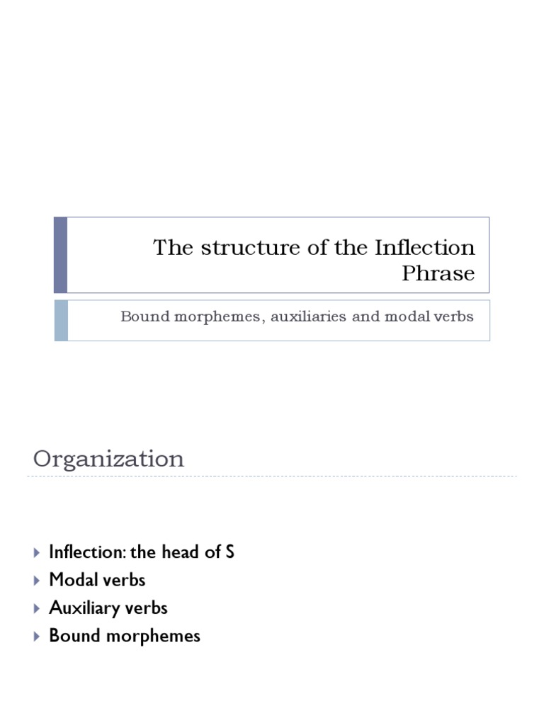 Structure of Inflection Phrases in Syntax | PDF | Lexical Semantics | Verb